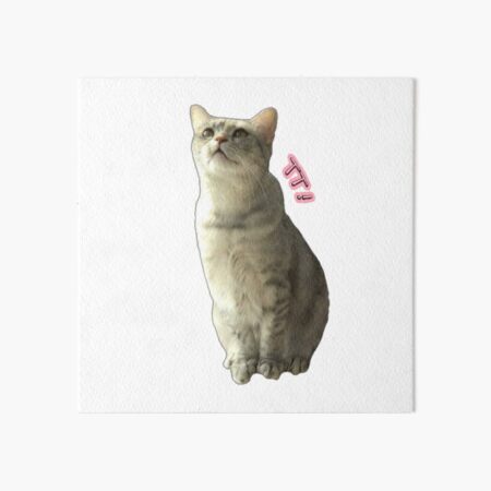 "Cute TT ( Kittisaurus )" Art Board Print for Sale by Aestheticart12 ...