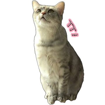 "Cute TT ( Kittisaurus )" Art Board Print for Sale by Aestheticart12 ...