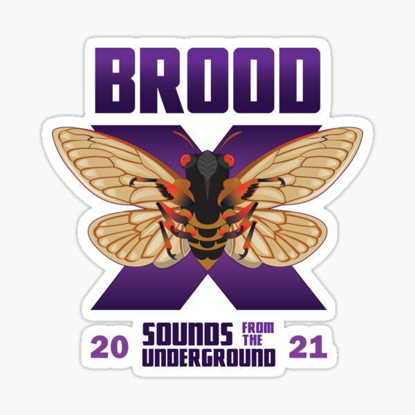 "Brood X 2021" Sticker by KPennington | Redbubble