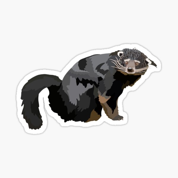 Binturong Merch & Gifts for Sale | Redbubble