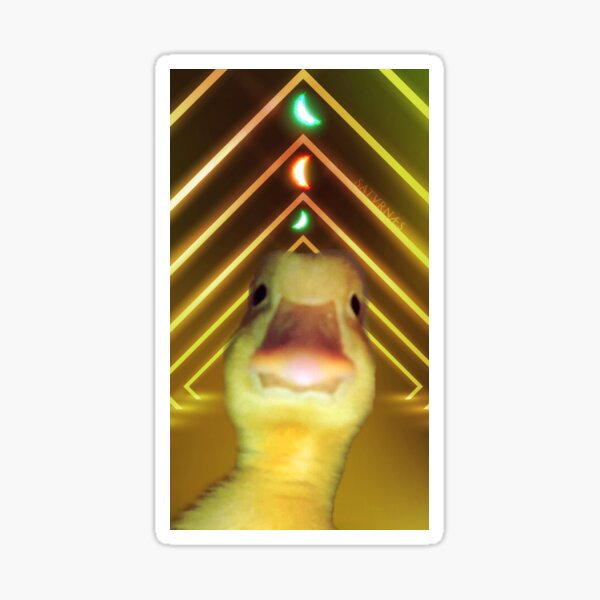 Pegatina «Meme Duck Facetime Animales» de lanssk | Redbubble