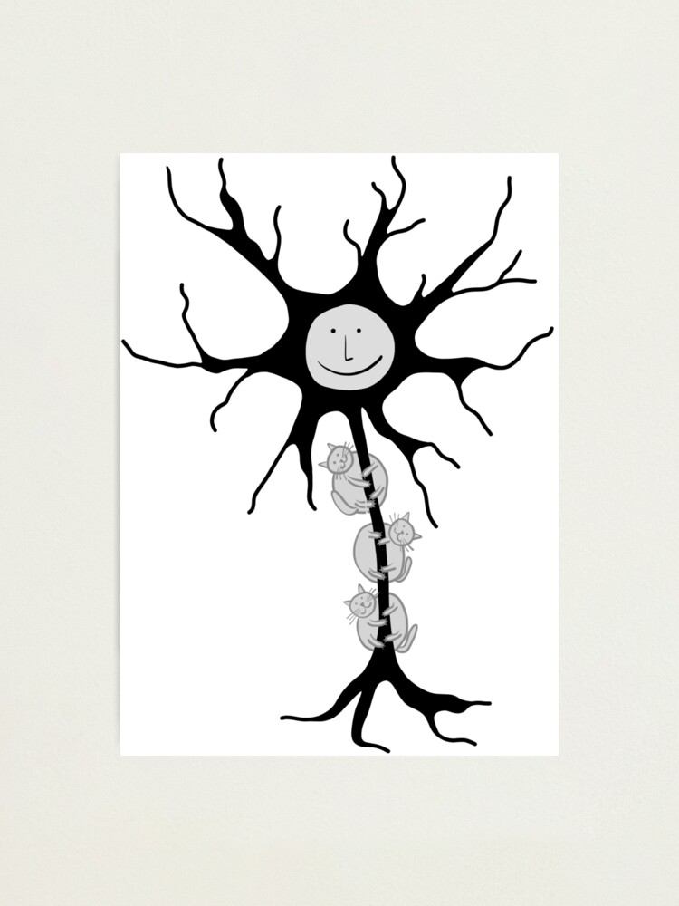 "Cute Neuron with Meowlin Sheath" Photographic Print for Sale by ...