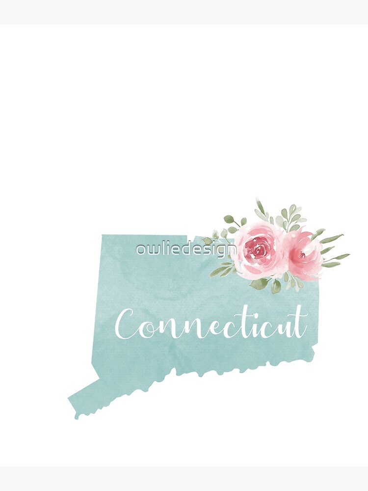 "Connecticut CT State Map Watercolor " Poster for Sale by owliedesign ...