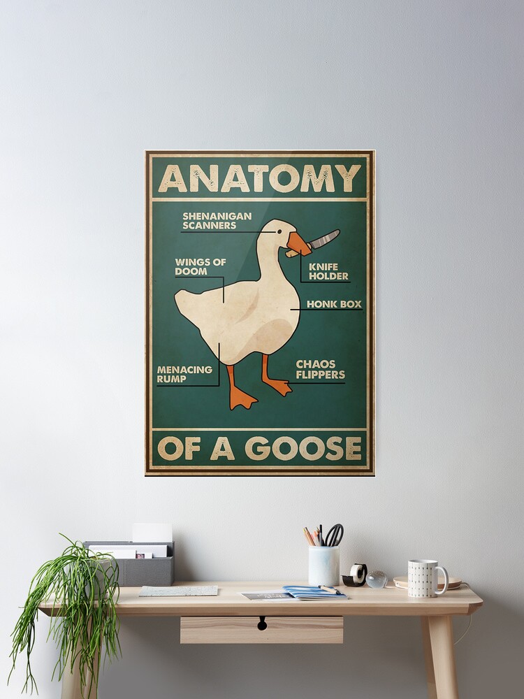 "Game Anatomy Of Goose Poster" Poster for Sale by DalimilKoleno | Redbubble