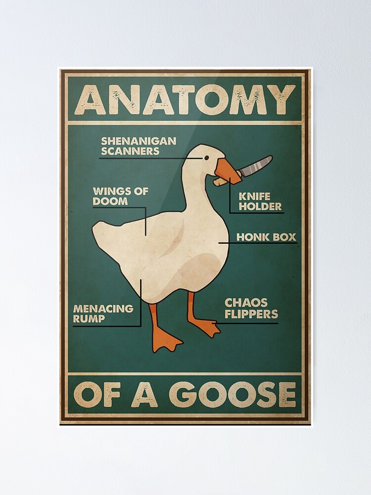 "Game Anatomy Of Goose Poster" Poster by DalimilKoleno | Redbubble