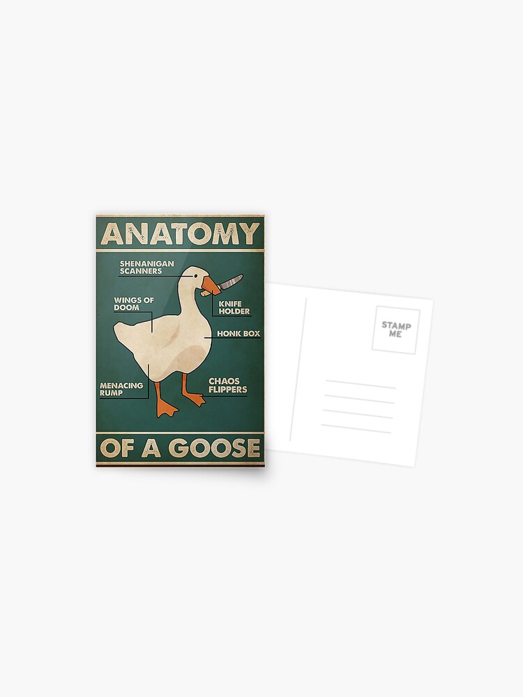 "Game Anatomy Of Goose Poster" Postcard for Sale by DalimilKoleno ...