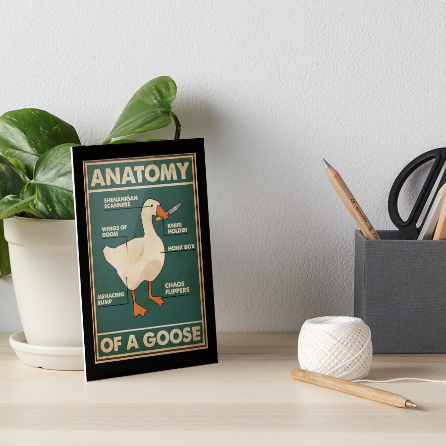 "Game Anatomy Of Goose Poster" Photographic Print for Sale by ...