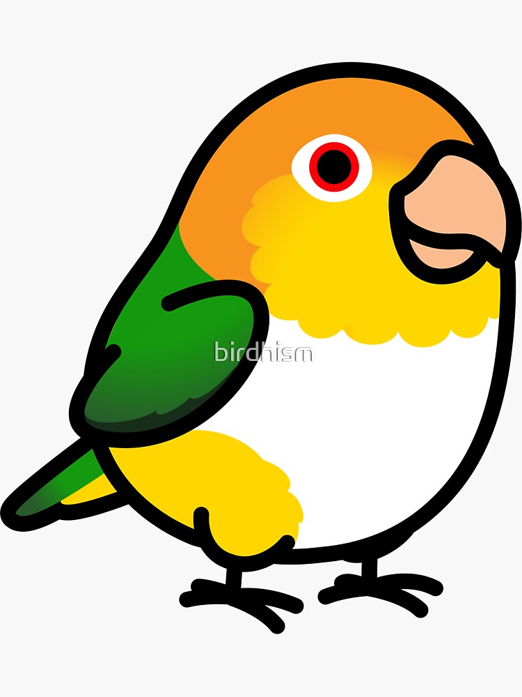"Chubby White Bellied Caique" Sticker for Sale by birdhism | Redbubble