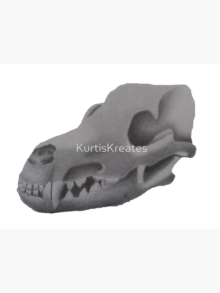 "Coyote Skull Drawing" Poster for Sale by KurtisKreates | Redbubble