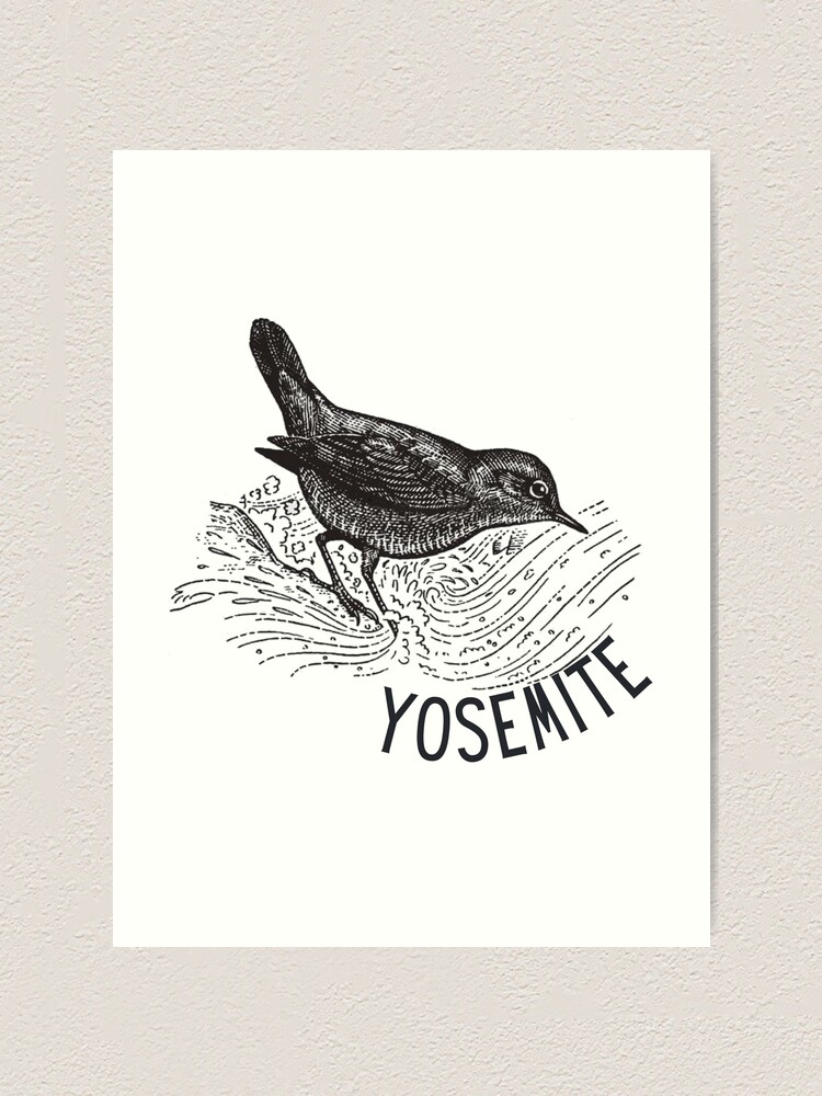 "Yosemite American Dipper bird park logo" Art Print for Sale by ...