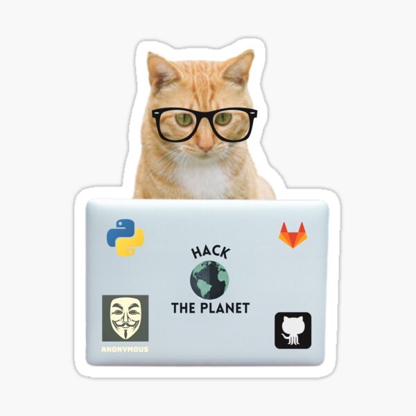 "Hacker Cat 2.0 | Hacker Cat" Sticker for Sale by leo-jess | Redbubble