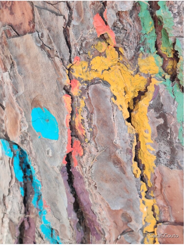 "Rainbow Log" Poster by SaraSCouto | Redbubble