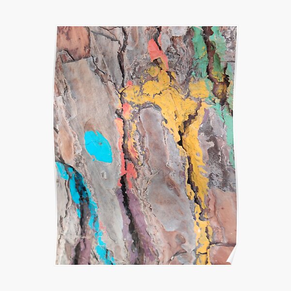 "Rainbow Log" Poster by SaraSCouto | Redbubble