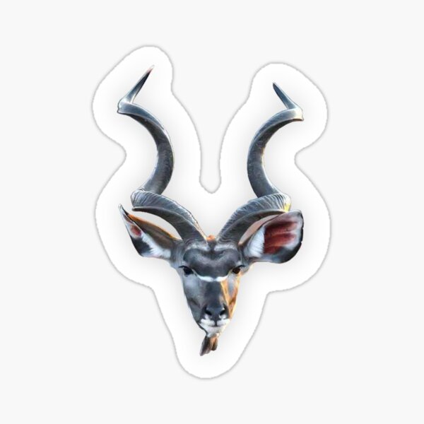 "The kudus are two species of antelope of the genus" Sticker for Sale ...
