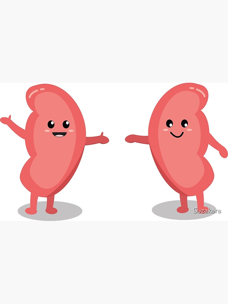 "Pair of Cute Kidney - Promote Kidney Health " Photographic Print by ...