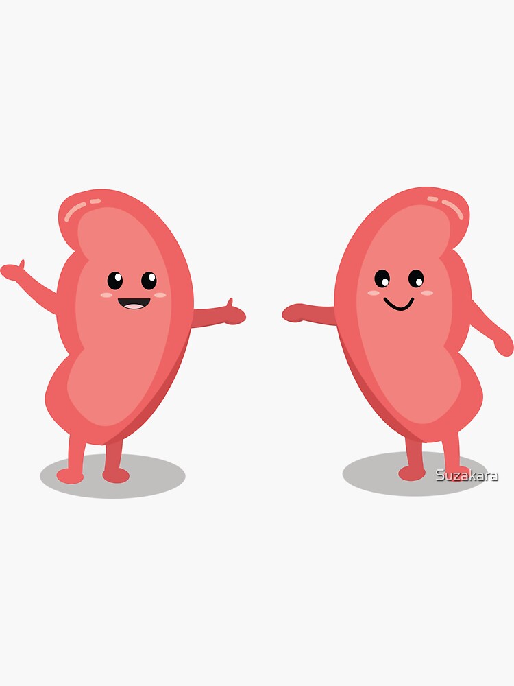 "Pair of Cute Kidney - Promote Kidney Health " Sticker for Sale by ...