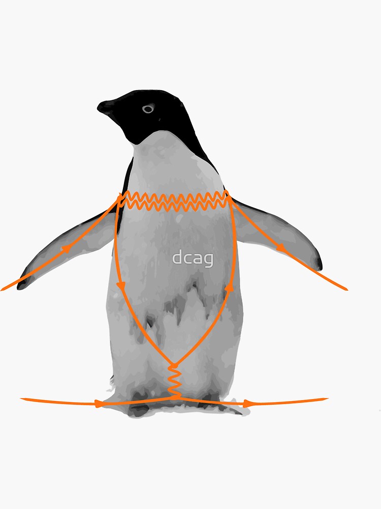 "Penguin Diagram" Sticker for Sale by dcag | Redbubble