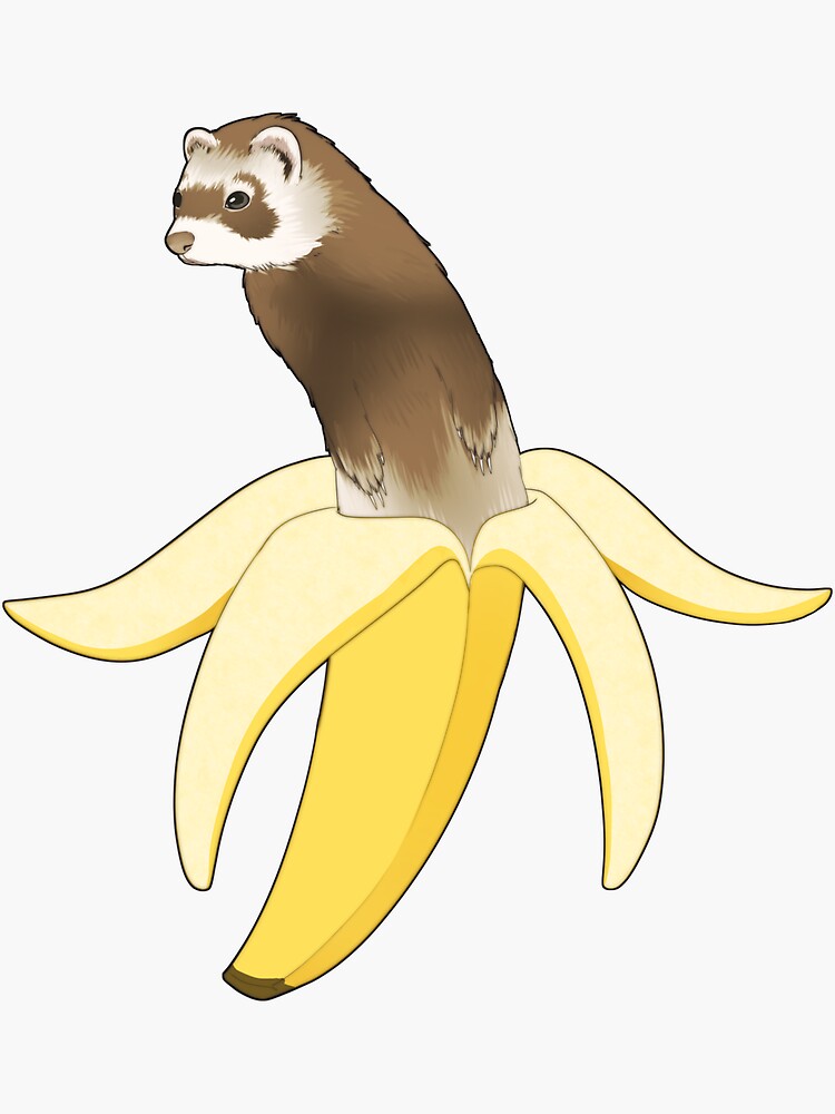 "Banana Shaped Ferret" Sticker by Sara-T | Redbubble