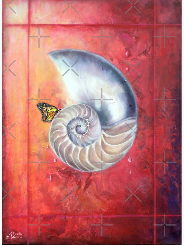 "Nautilus Art" Sticker by ArtbyGabriela | Redbubble