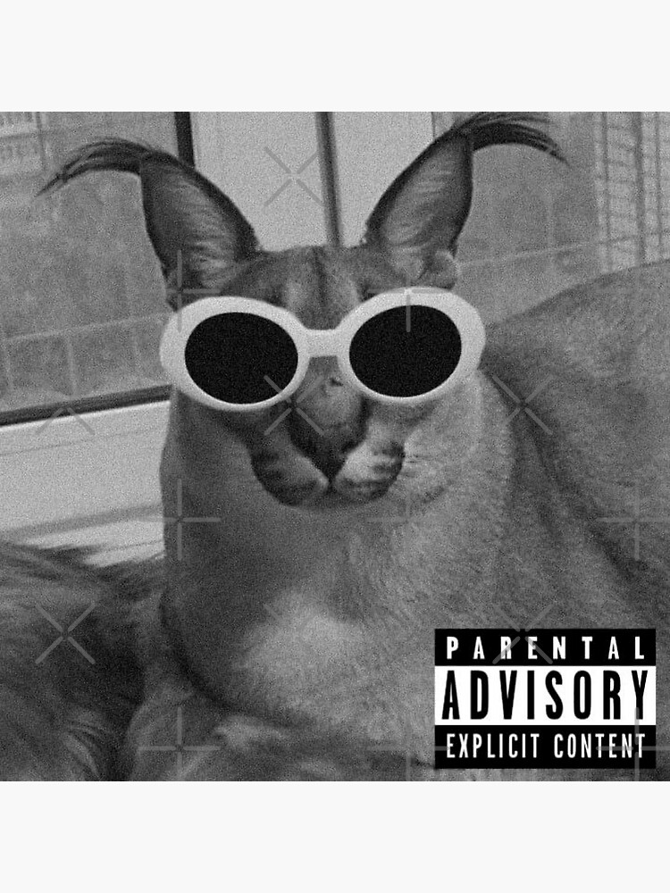 Pegatina «Gafas Big Floppa Nirvana» de neuronic | Redbubble