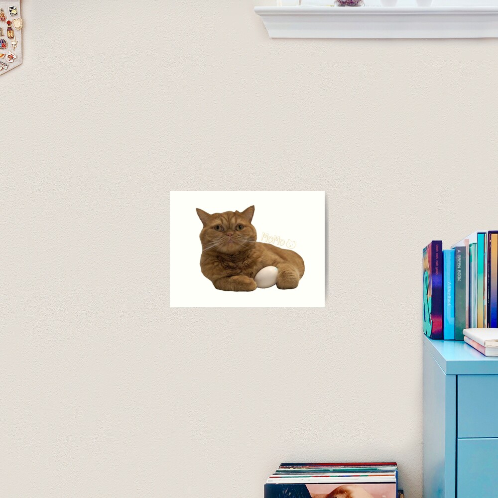 "Cute MoMo with his egg ( Kittisaurus )" Art Print by Aestheticart12 ...