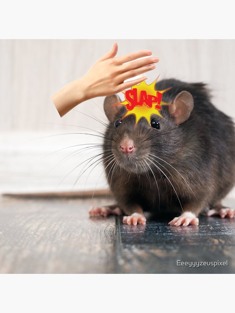 "Slap the rat!" Sticker for Sale by Eeeyyyzeuspixel | Redbubble