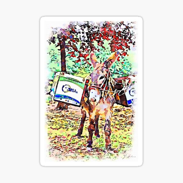 "Donkey for the recycling of garbage" Sticker by giuseppecocco | Redbubble