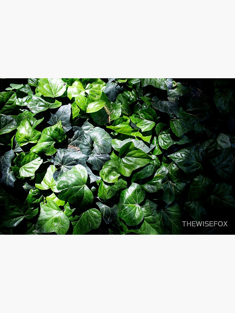 "Somber Spring Leaves" Poster by THEWISEFOX | Redbubble