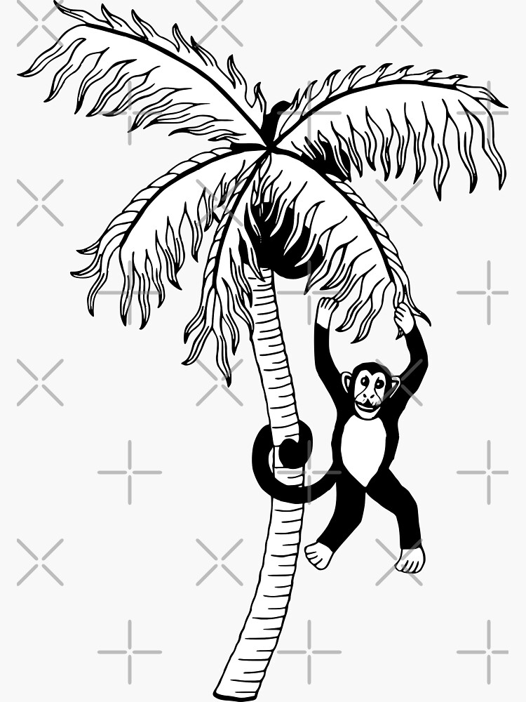 "Monkey In Coconut Tree" Sticker by -SGodwinStudio- | Redbubble