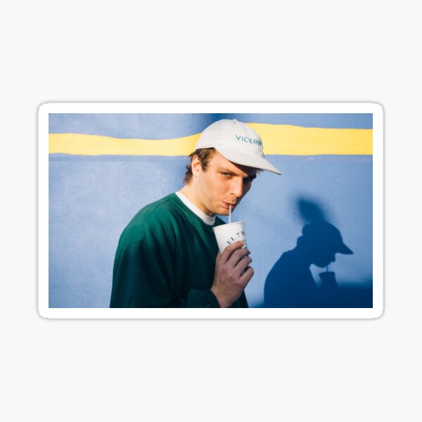 "Mac Demarco Aesthetic" Sticker for Sale by Freshfroot | Redbubble