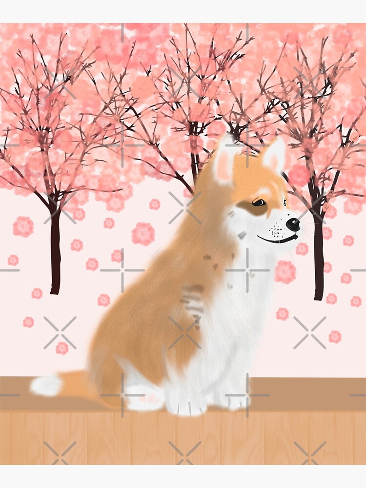 "Cute Japanese Shibainu Dog Under Sakura Tree - Shiba Inu - Cherry ...