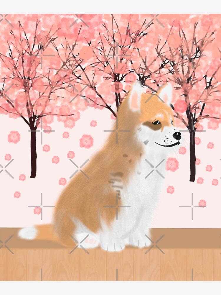 "Cute Japanese Shibainu Dog Under Sakura Tree - Shiba Inu - Cherry ...