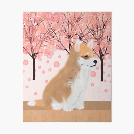 "Cute Japanese Shibainu Dog Under Sakura Tree - Shiba Inu - Cherry ...