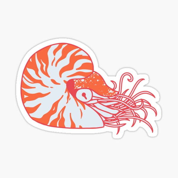 "Chambered Nautilus" Sticker by aquatark | Redbubble