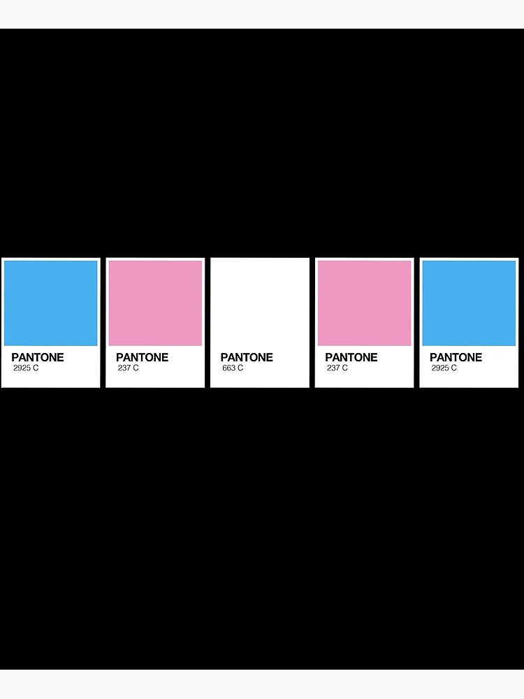 "Pantone Trans Pride Flag" Poster by HouseOfRocksart | Redbubble