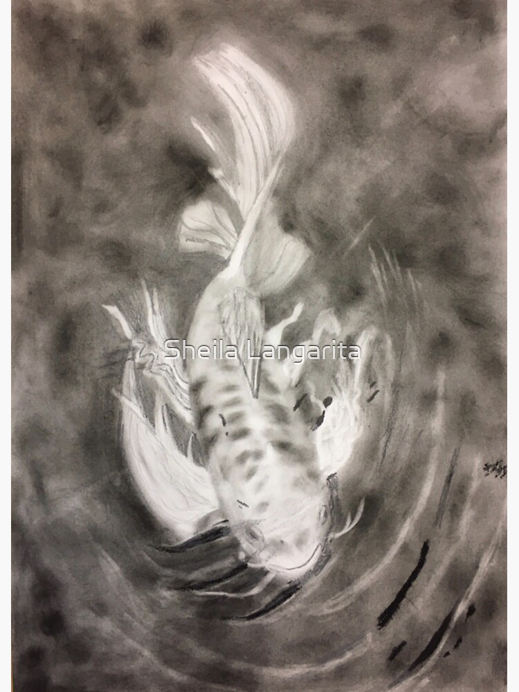 "Fish graphite drawing" Sticker by sheilalangarita | Redbubble