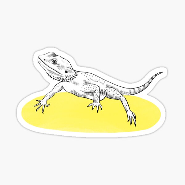 "A bearded dragon drawing design" Sticker by Lonelychiwawa | Redbubble