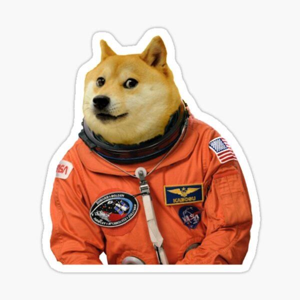 "DogeCoin - Dogeeeeee" Sticker by elmills8 | Redbubble
