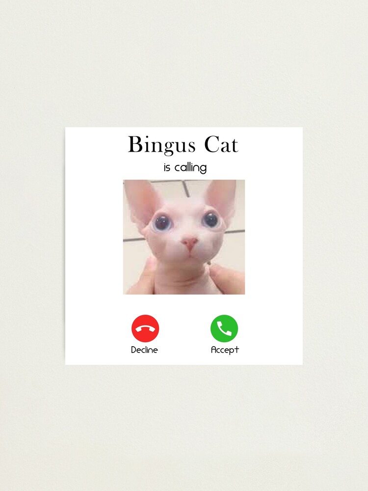 "Bingus Cat is calling, Bingus cat memes" Photographic Print for Sale ...