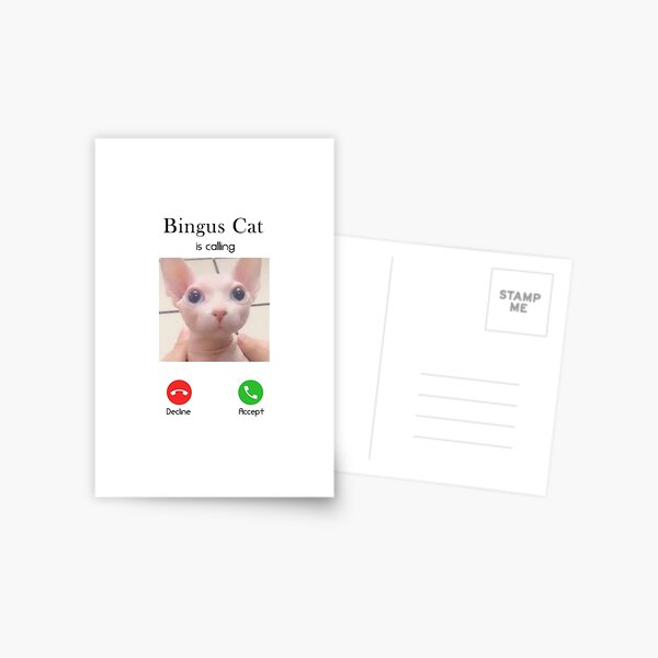 "Bingus Cat is calling, Bingus cat memes" Postcard by Aymanerachif ...