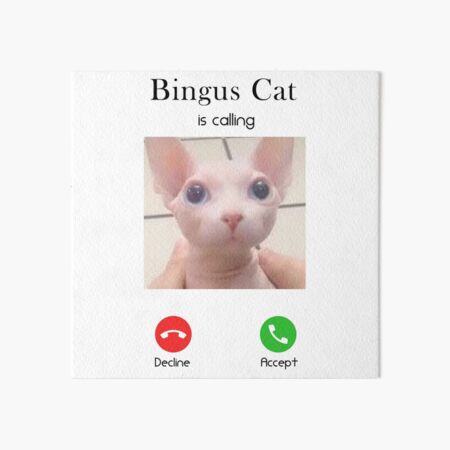 "Bingus Cat is calling, Bingus cat memes" Art Board Print for Sale by ...