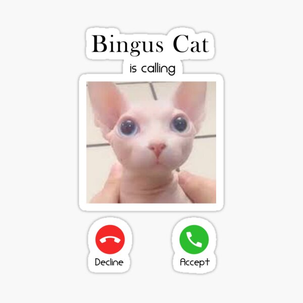 "Bingus Cat is calling, Bingus cat memes" Sticker for Sale by ...