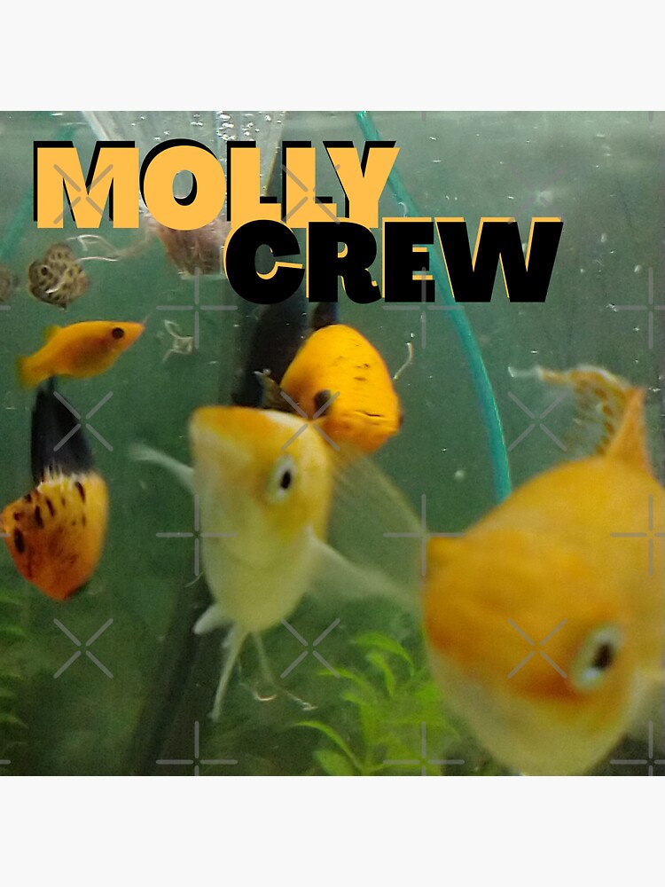 "Molly Crew" Sticker for Sale by SnexyTees | Redbubble