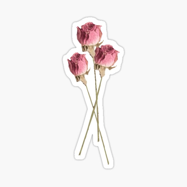 "Aesthetic Pink Roses " Sticker by VibinPoodle | Redbubble