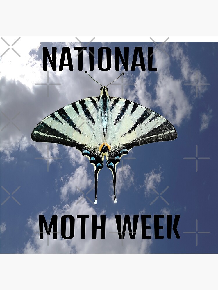 "National moth week" Poster by basileiossav | Redbubble
