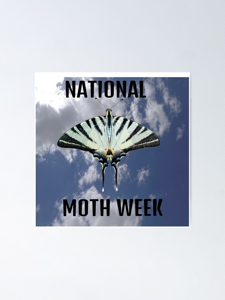 "National moth week" Poster by basileiossav | Redbubble