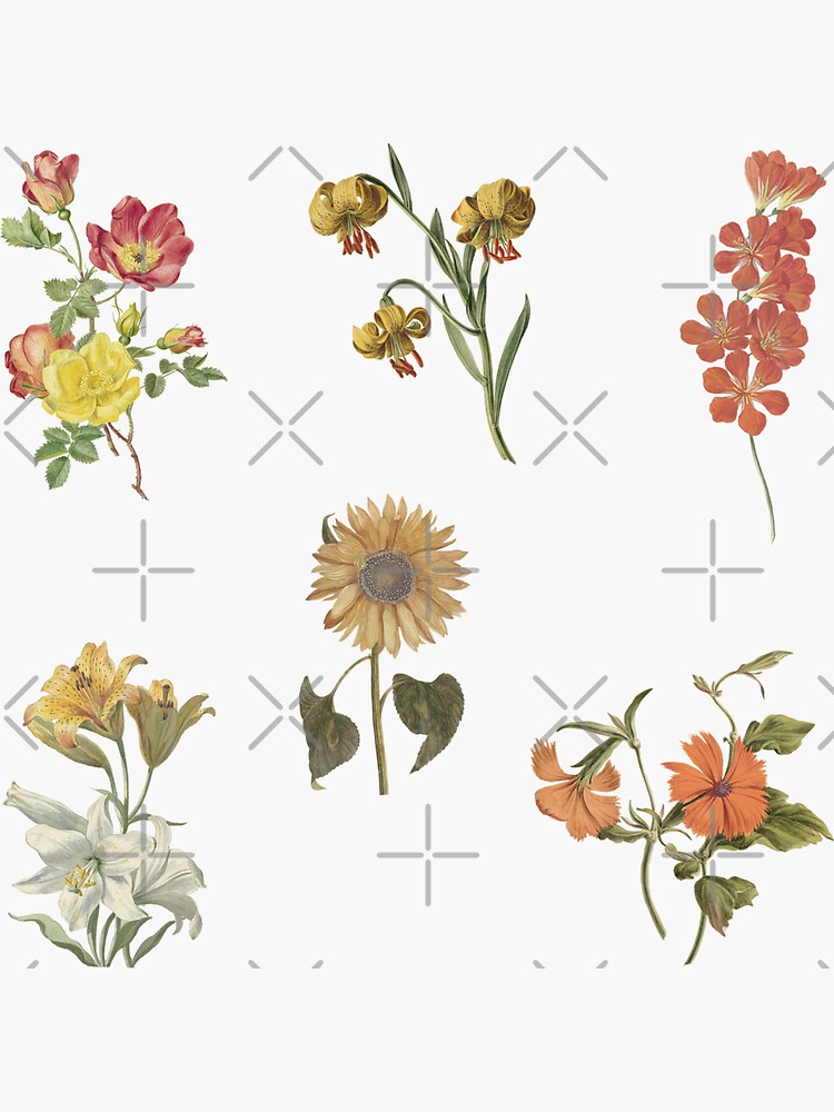 "Vintage pastel boho floral flower pattern. Flower sticker pack ...
