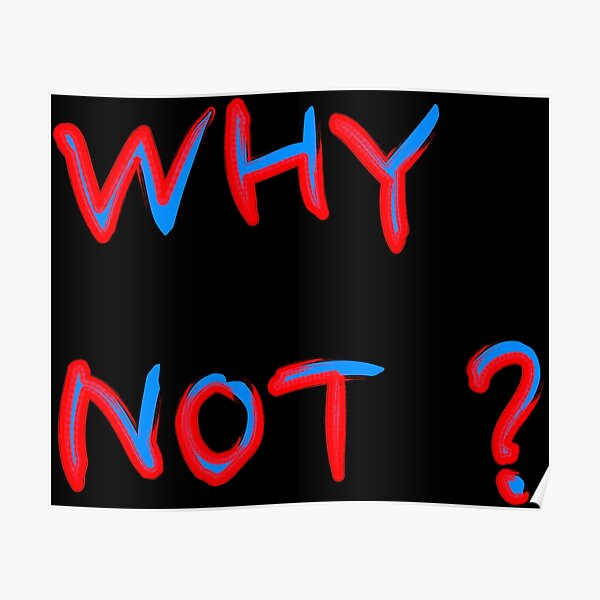 "WHY NOT" Poster for Sale by Googoogoo | Redbubble
