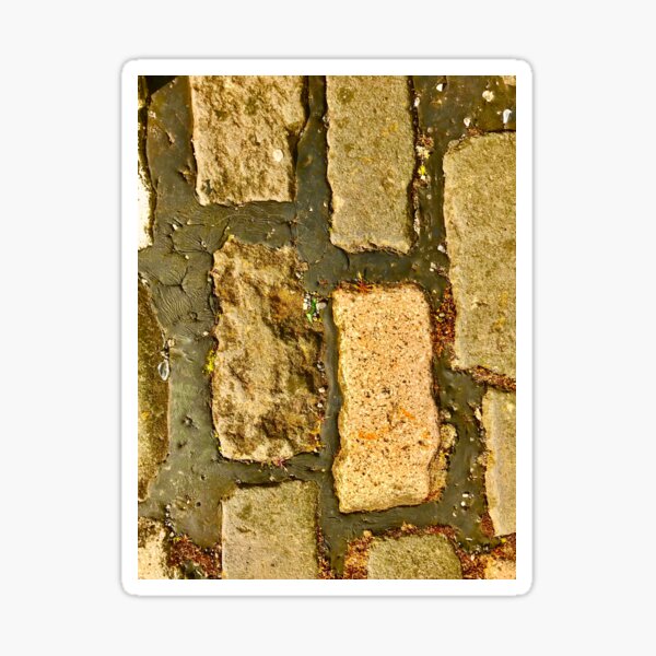 Natureonthego Shop | Redbubble