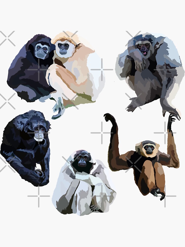 "Mixed Gibbon " Sticker for Sale by thezoogirl | Redbubble